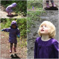 Hiking With Kids Troll Falls Kananaskis | Family Fun Calgary