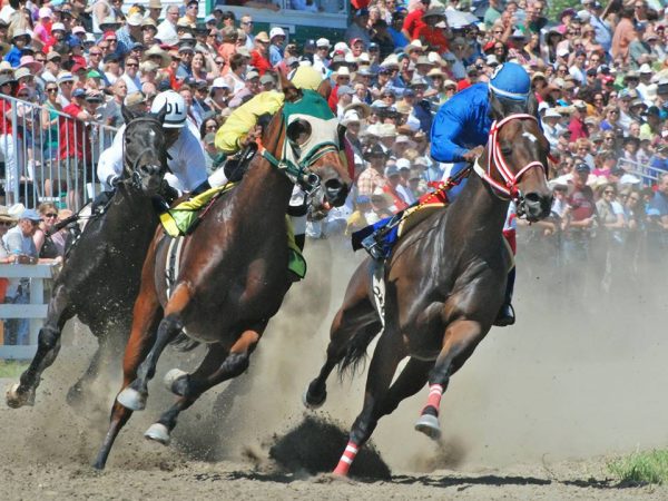 Canada Day Running of the Millarville Races | Family Fun Calgary