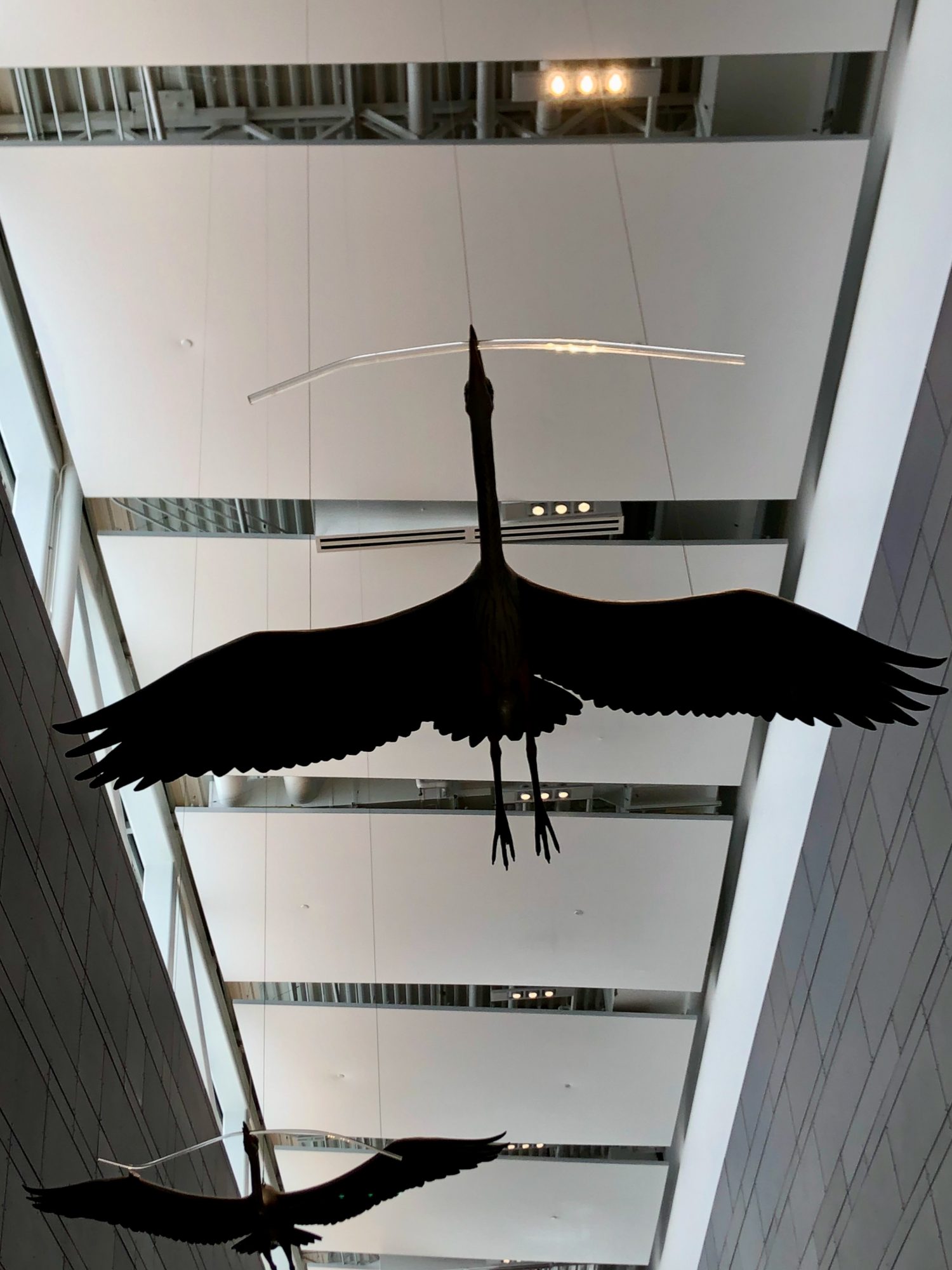 Brookfield Residential YMCA at Seton | Family Fun Calgary