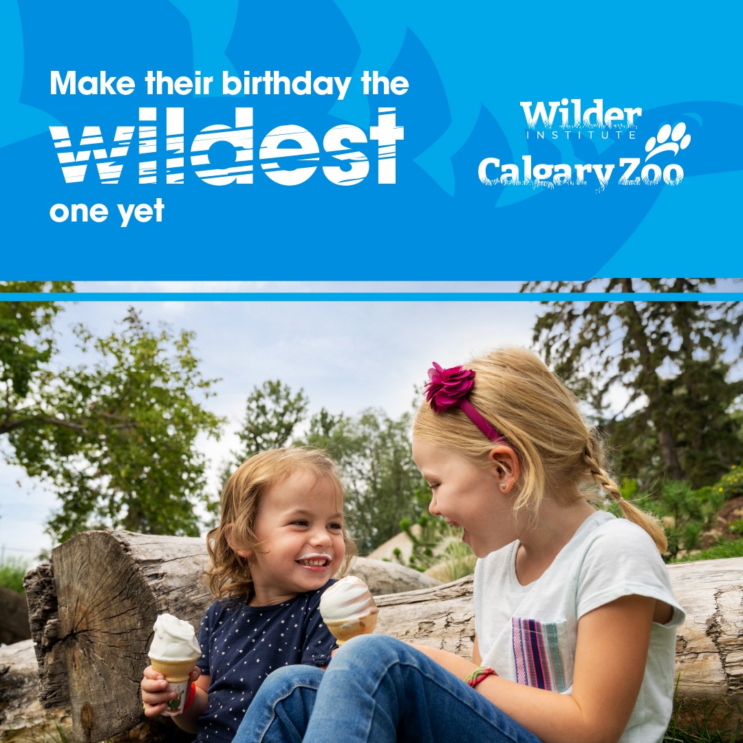 Best Birthday Parties | Family Fun Calgary