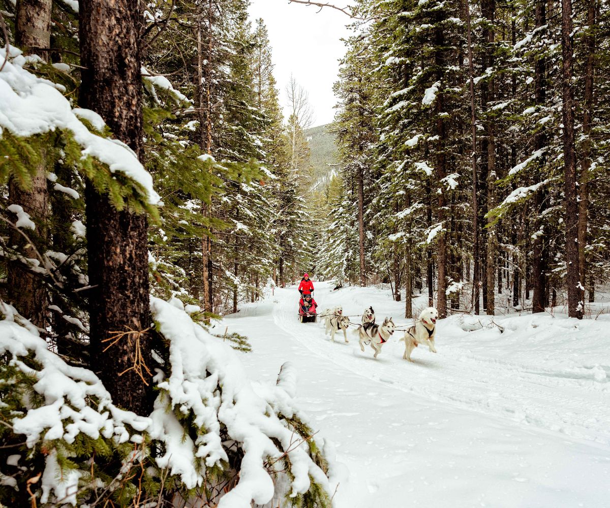 Boundary Ranch Christmas | Family Fun Calgary
