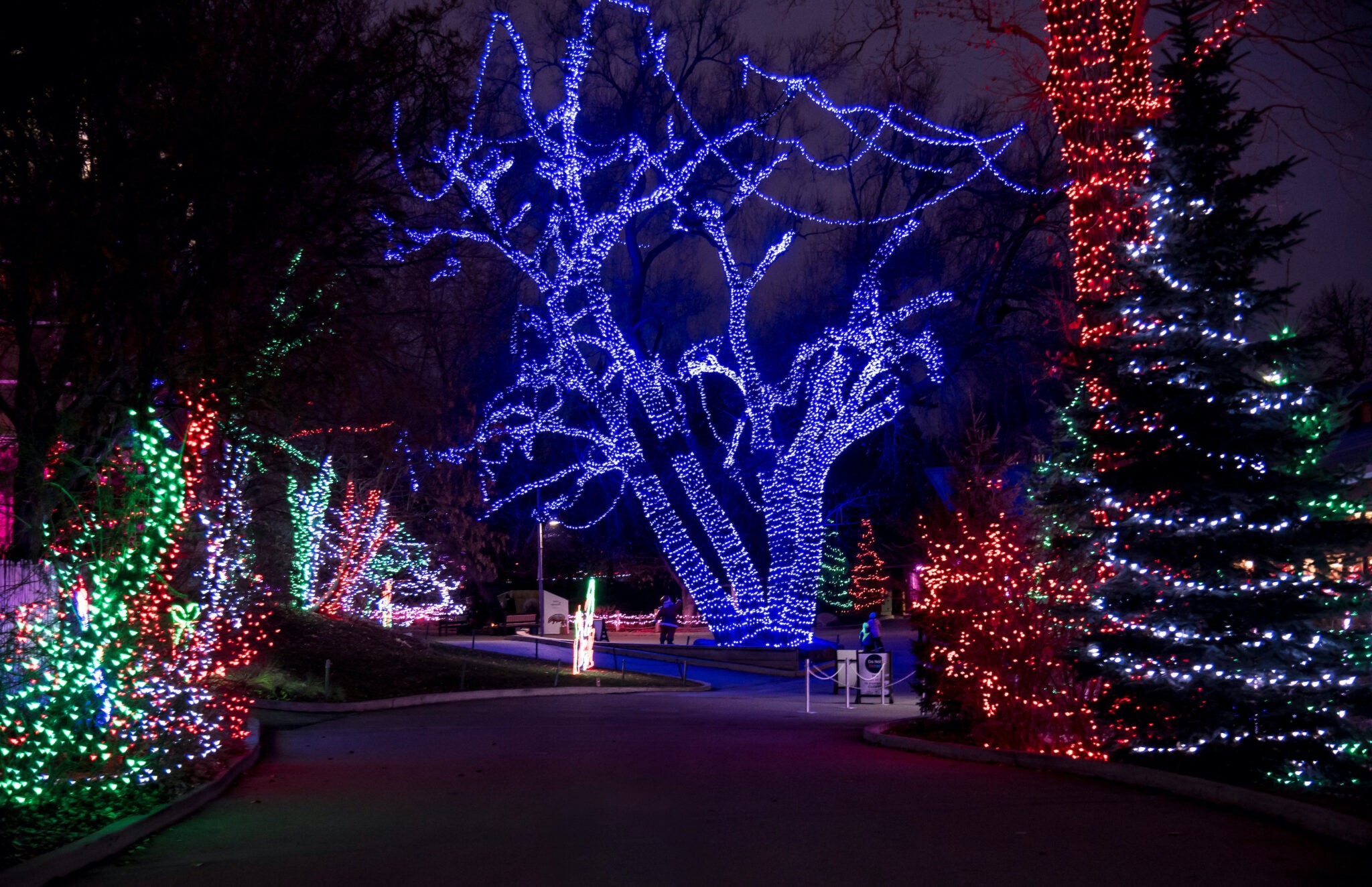 ZOOLIGHTS at the Calgary Zoo | Family Fun Calgary