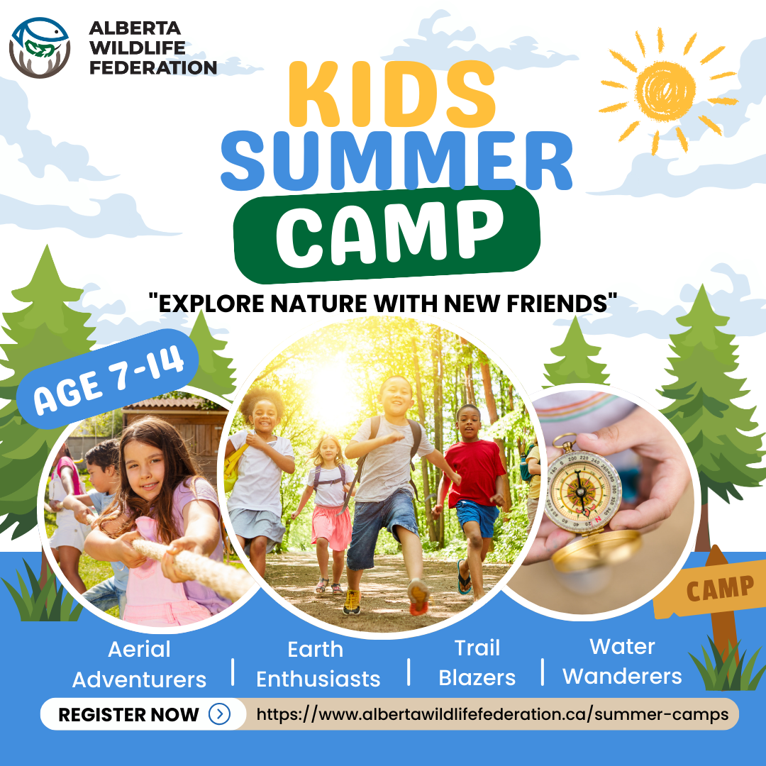 The BEST Summer Camps in Edmonton and Area | Family Fun Edmonton