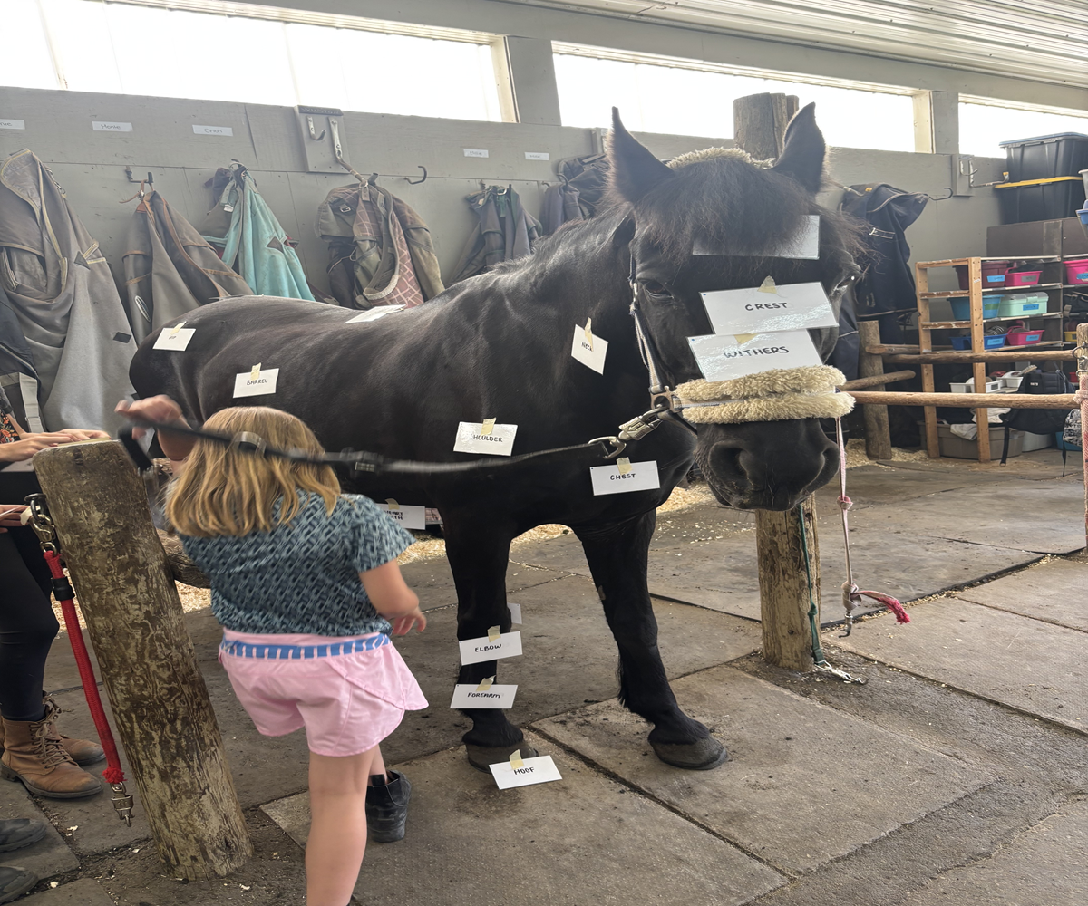 Blarney Stone Farms Summer Camps | Family Fun Edmonton