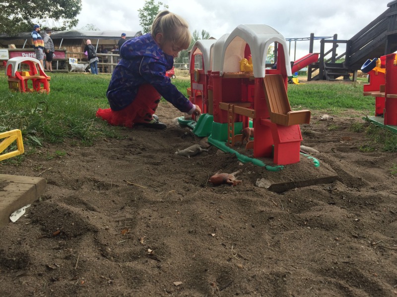 A Farm Adventure at Prairie Gardens | Family Fun Edmonton