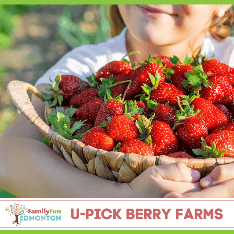 Buy Yourself Flowers at 5 Fantastic U-Pick Flower Farms | Family Fun ...