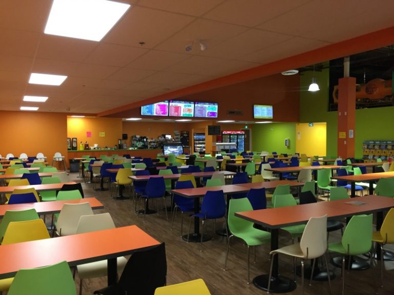 Get Wild at the Amazone Playzone | Family Fun Edmonton