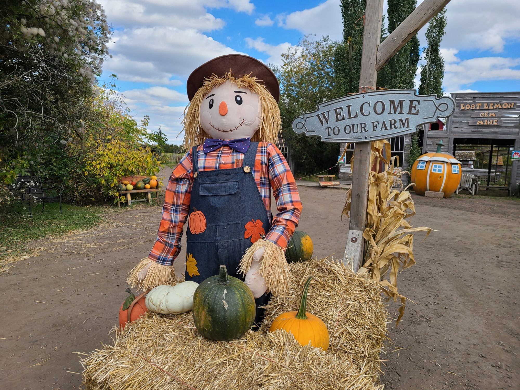 Prairie Gardens is OPEN for Pumpkin Harvest Fun! | Family Fun Edmonton