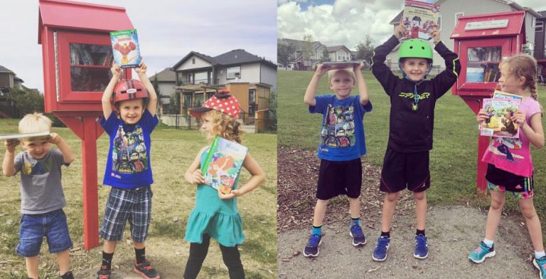 Find A Little Free Library In Your Neighbourhood | Family Fun Edmonton