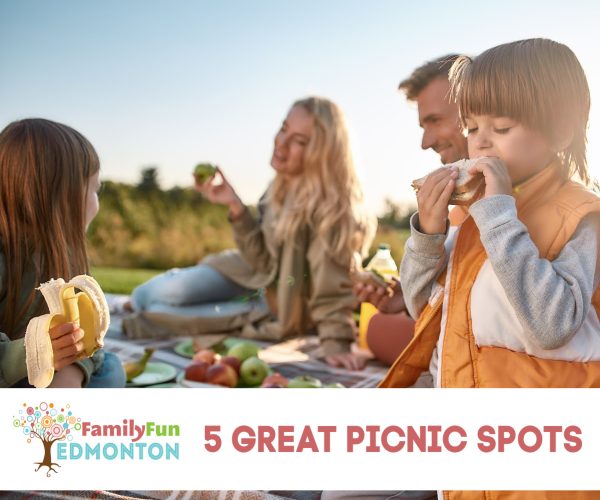 5 Delightful Picnic Spots in Edmonton | Family Fun Edmonton