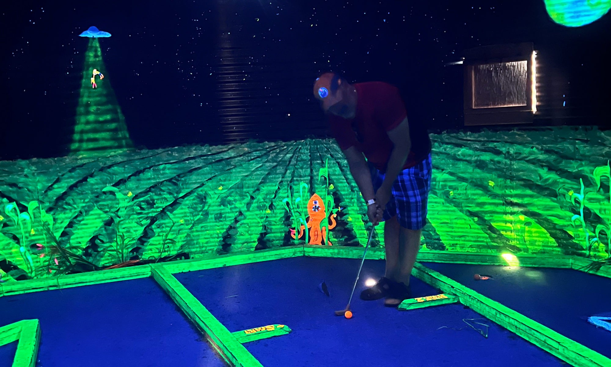 Head Down Highway II to Meet a Kangaroo! | Family Fun Edmonton