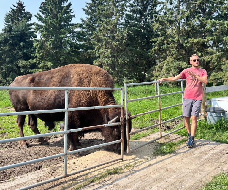 Jon's Funny Farm will put a Big Smile on Everyone's Face! | Family Fun ...
