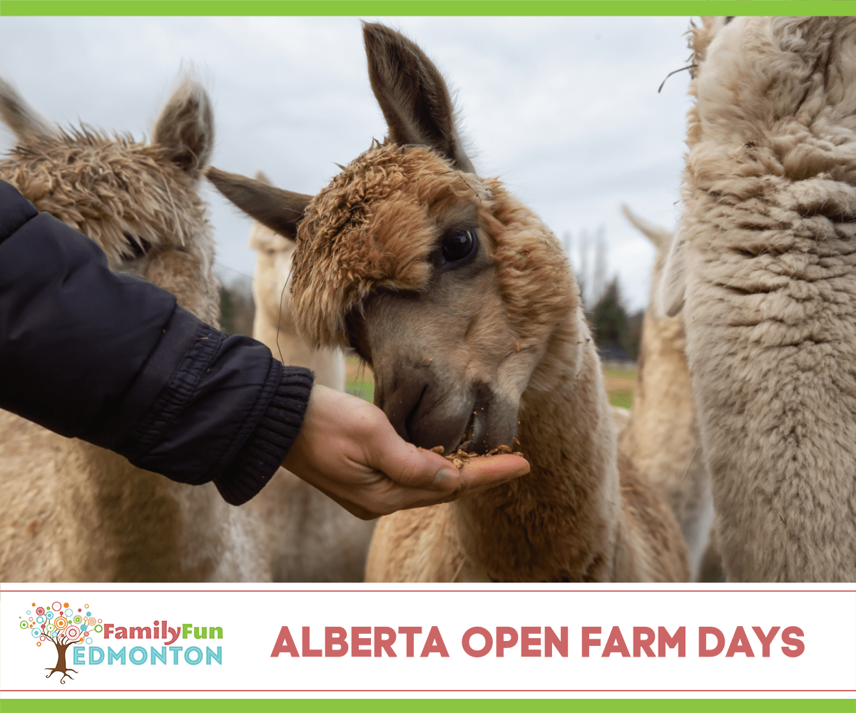 Alberta Open Farm Days 2023 | Family Fun Edmonton