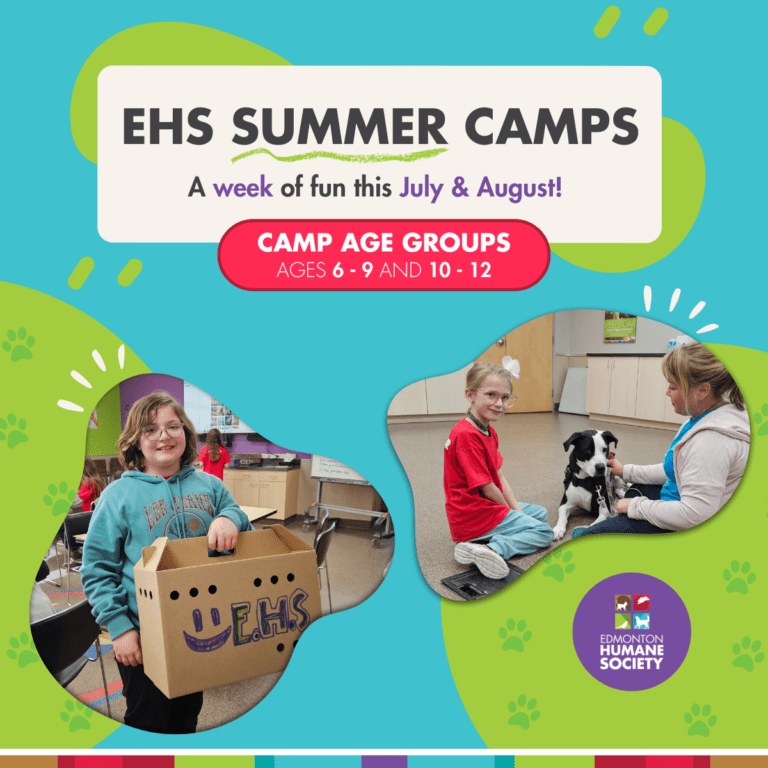 The BEST Summer Camps in Edmonton and Area | Family Fun Edmonton
