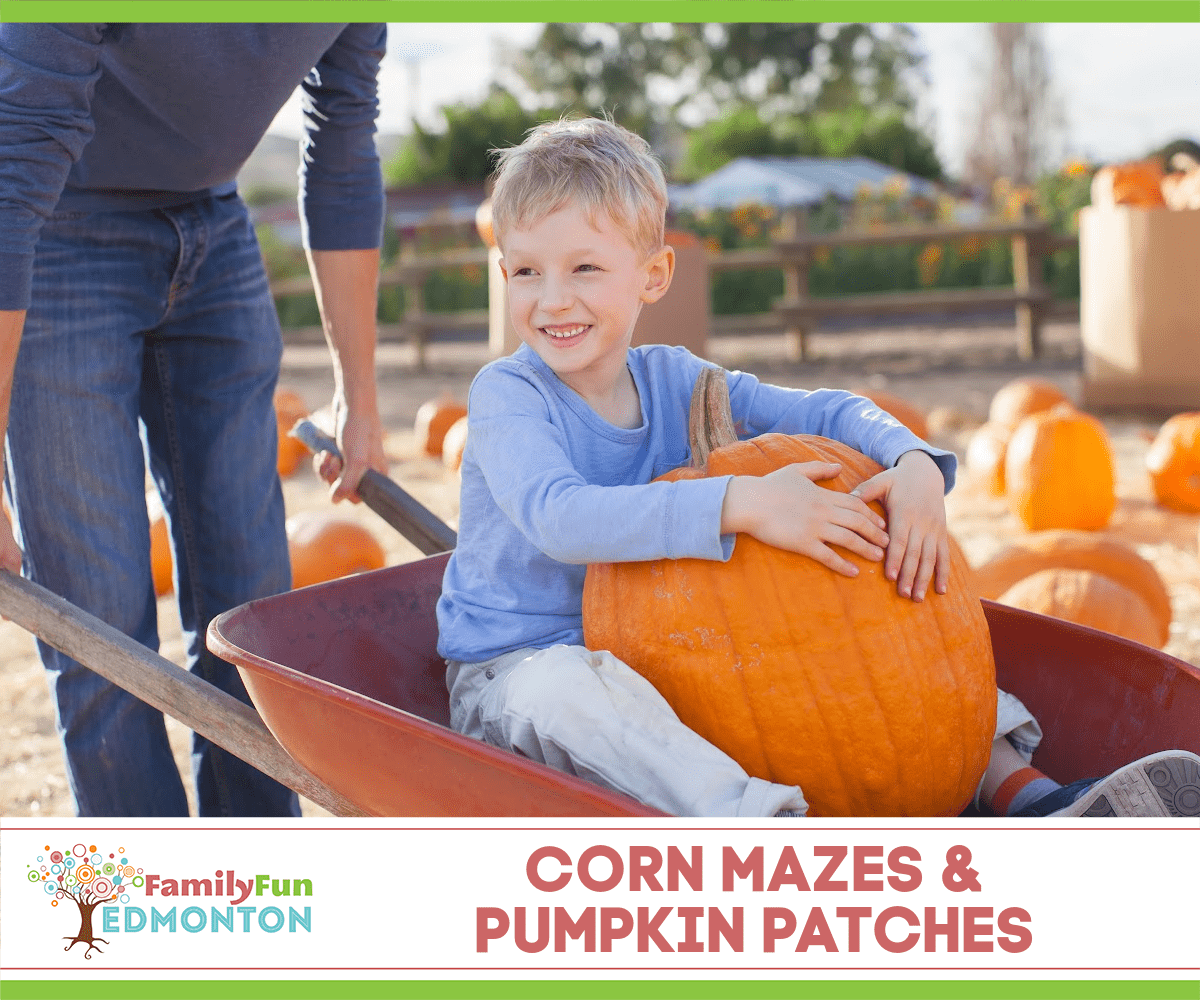 Pumpkin Patches & Corn Mazes In Edmonton | Family Fun Edmonton