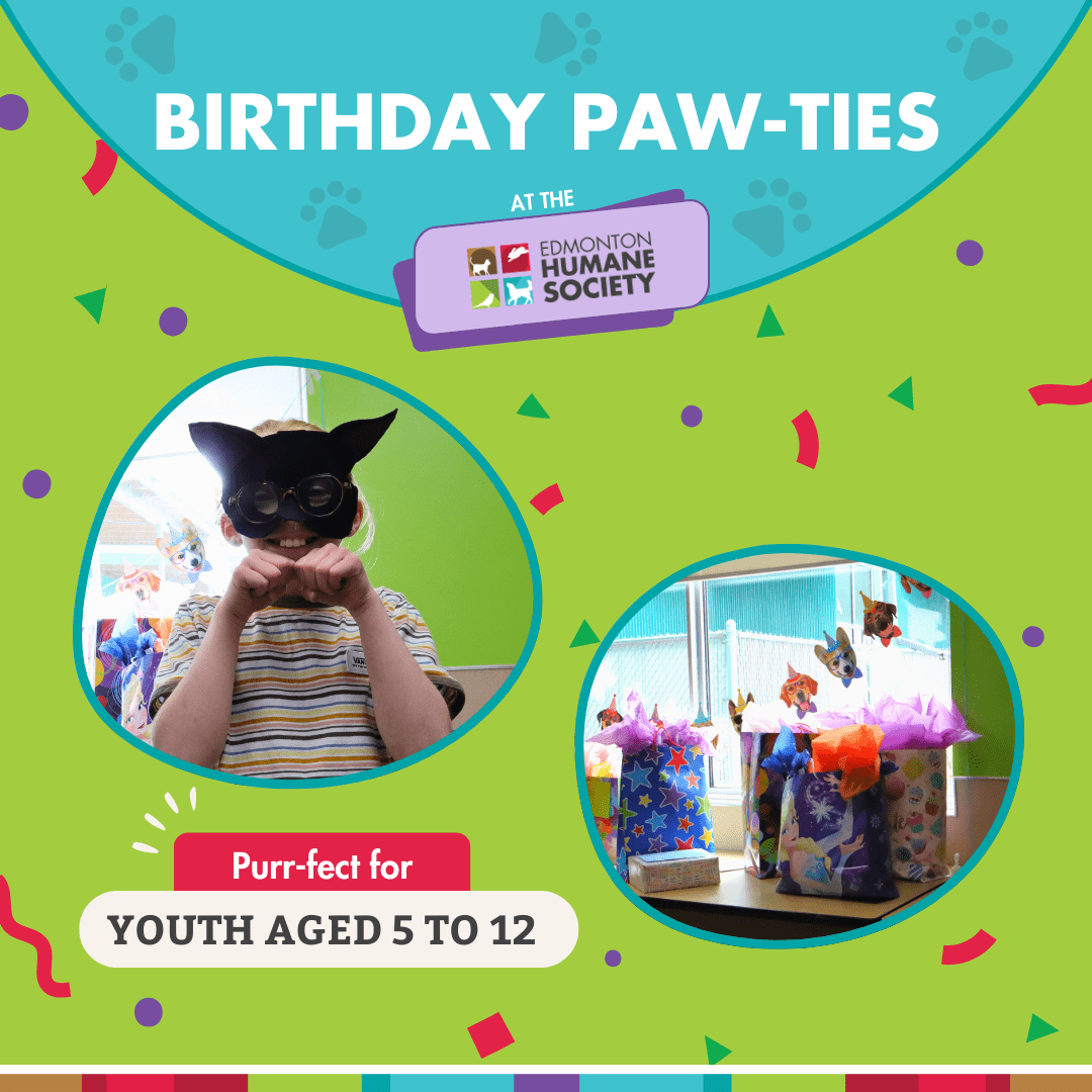 Best Birthday Parties in Edmonton | Family Fun Edmonton