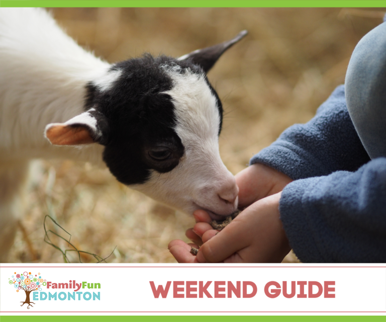 BEST Weekend Events in Edmonton! (May 23-25) | Family Fun Edmonton
