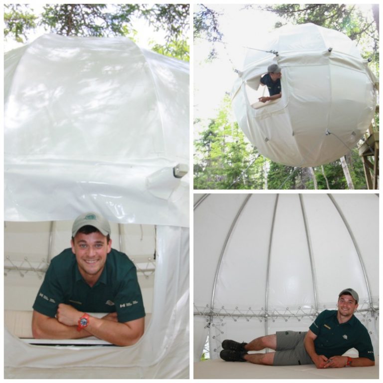 Parks Canada Cocoon Tree Bed | Family Fun Halifax