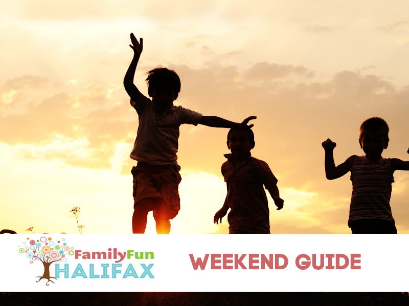 6 Great Camping Meals and Treats to try this Weekend!