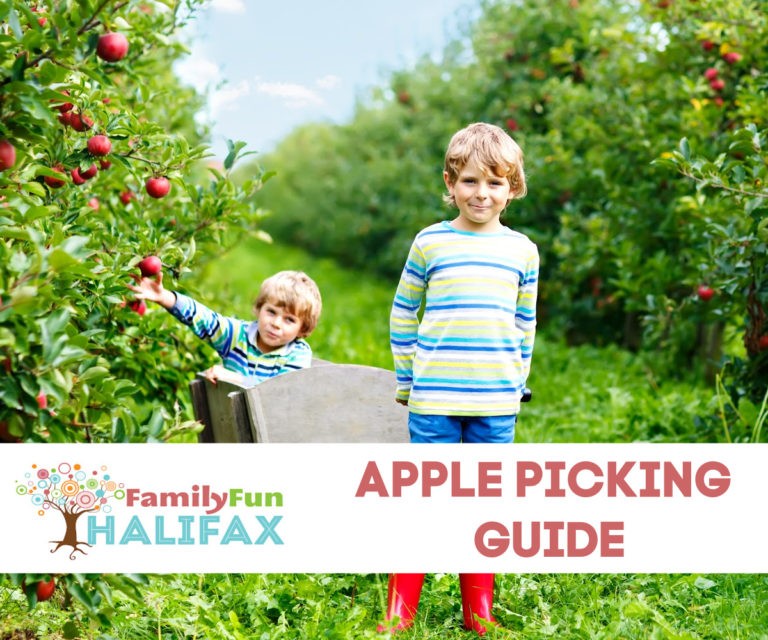 Fun family-friendly u-pick apple farms in Nova Scotia