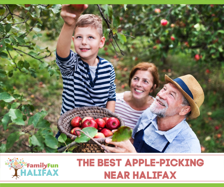 The Best Apple-Picking Near Halifax - Family Fun Halifax