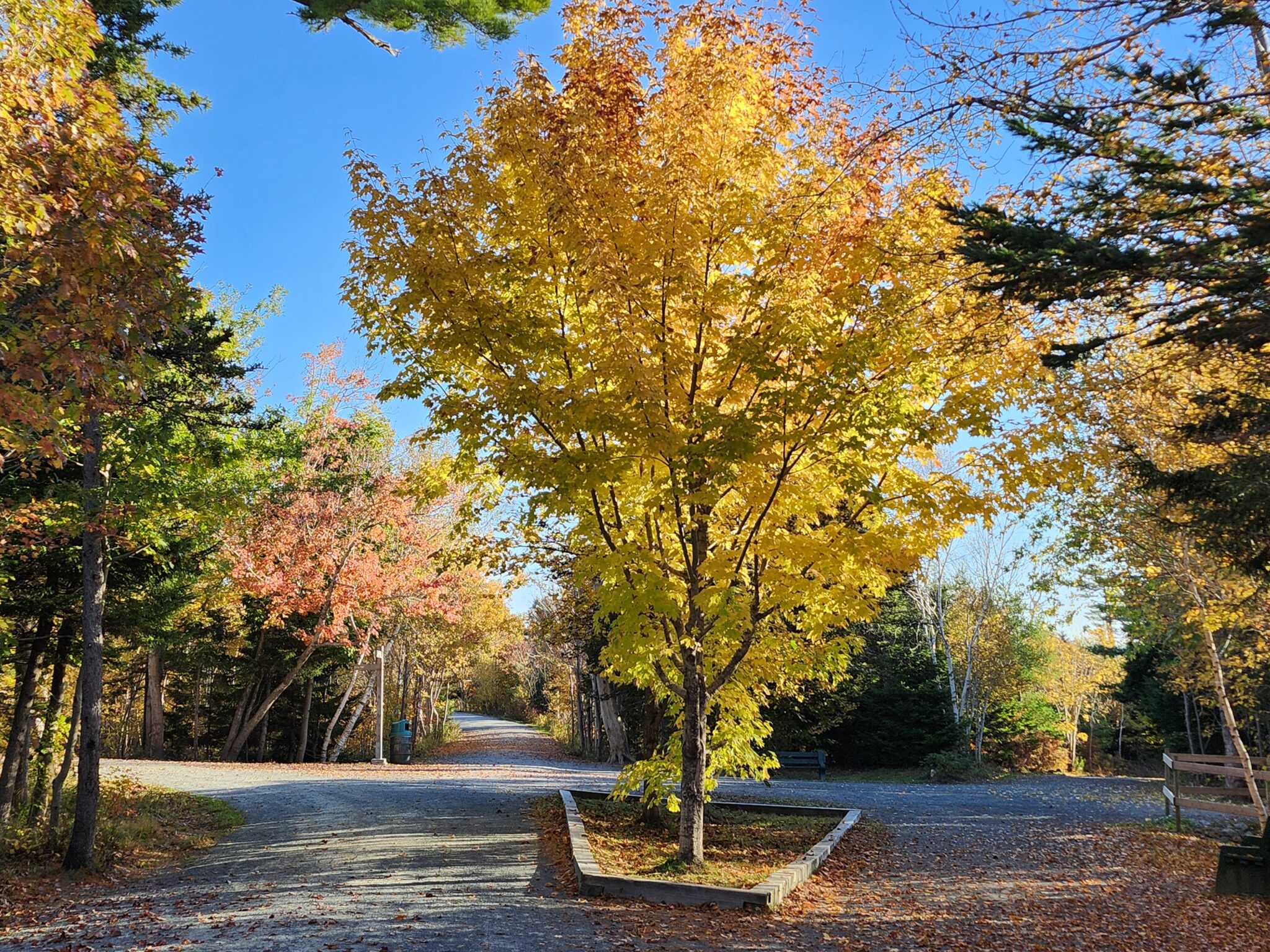 5 Places to View Fall Colours Around HRM - Family Fun Halifax