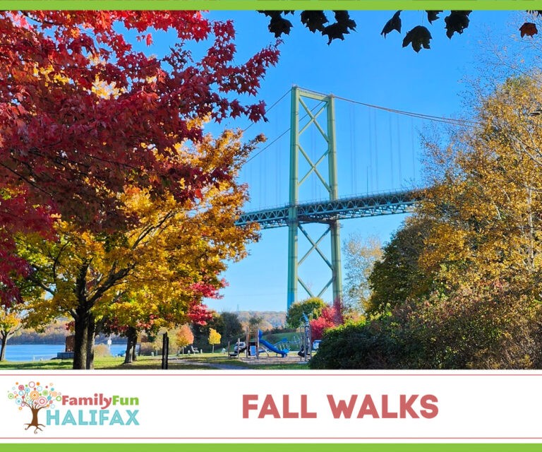 5 Places to View Fall Colours Around HRM - Family Fun Halifax