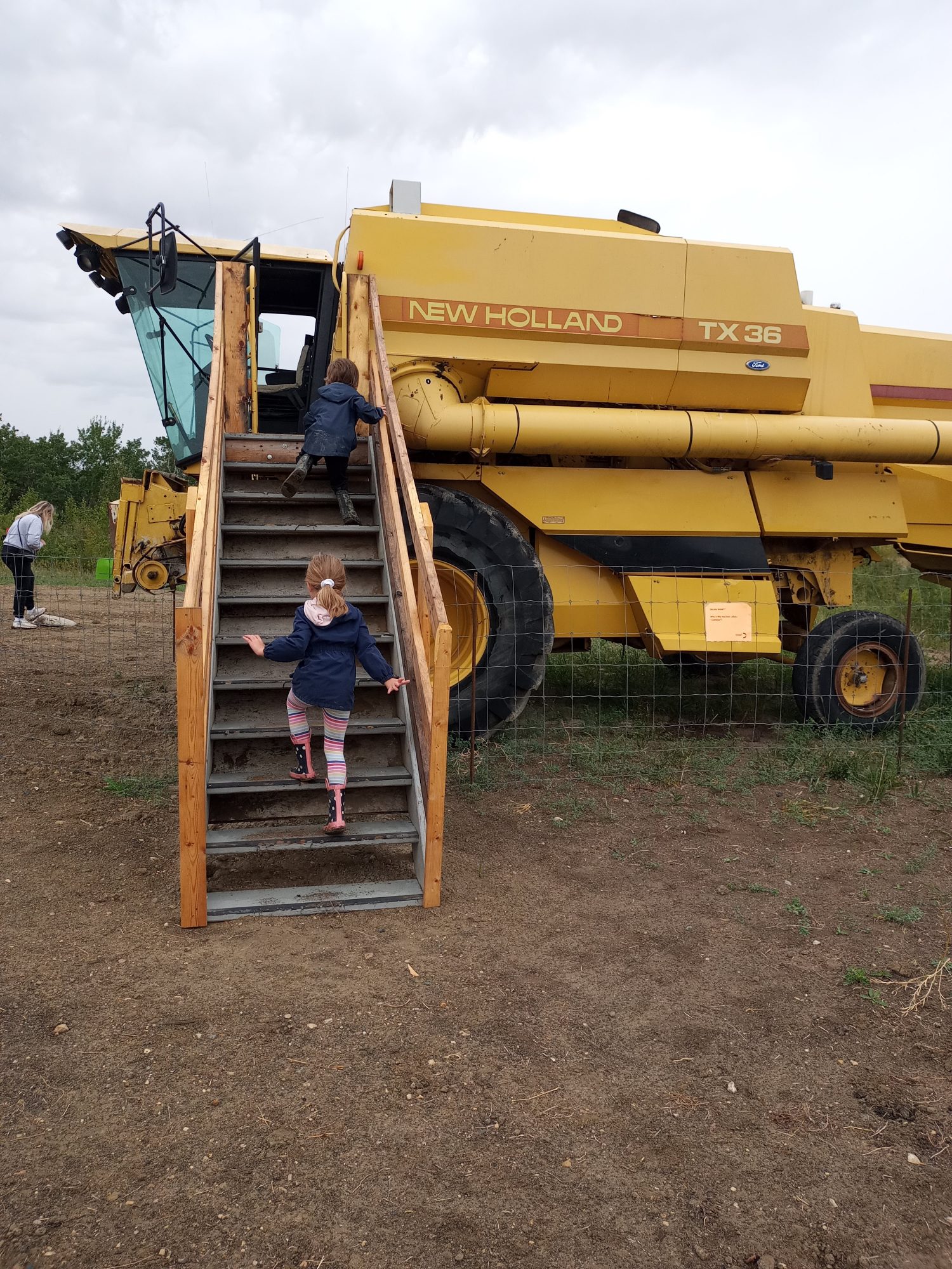 Wander's Tiny Farm | Family Fun Saskatoon
