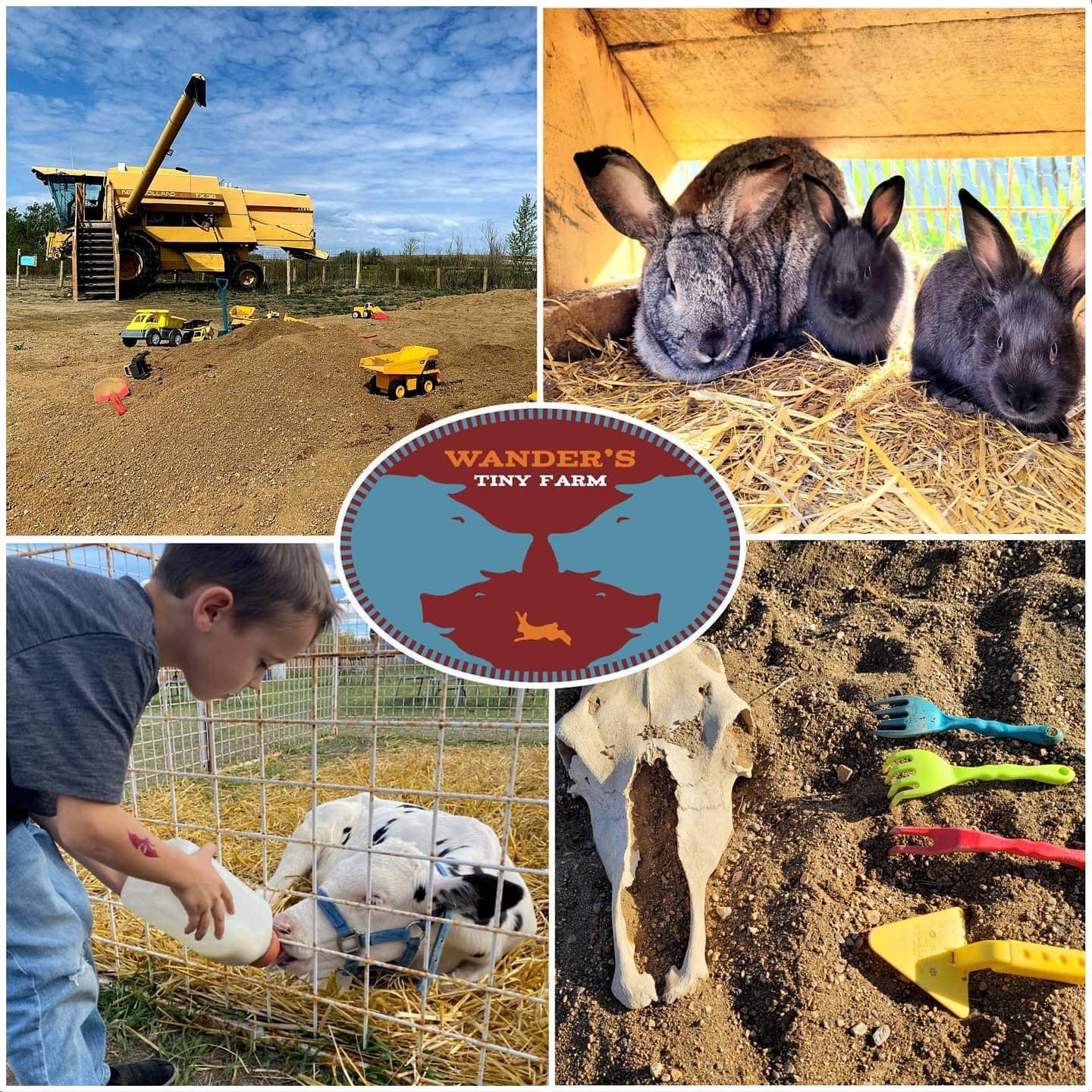 Wander's Tiny Farm | Family Fun Saskatoon