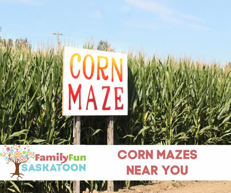 5 Saskatchewan Corn Mazes You Won't Want to Miss! | Family Fun Saskatoon