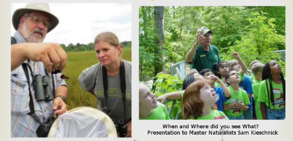 When and Where did you see What? Tips to be a better Naturalist ...