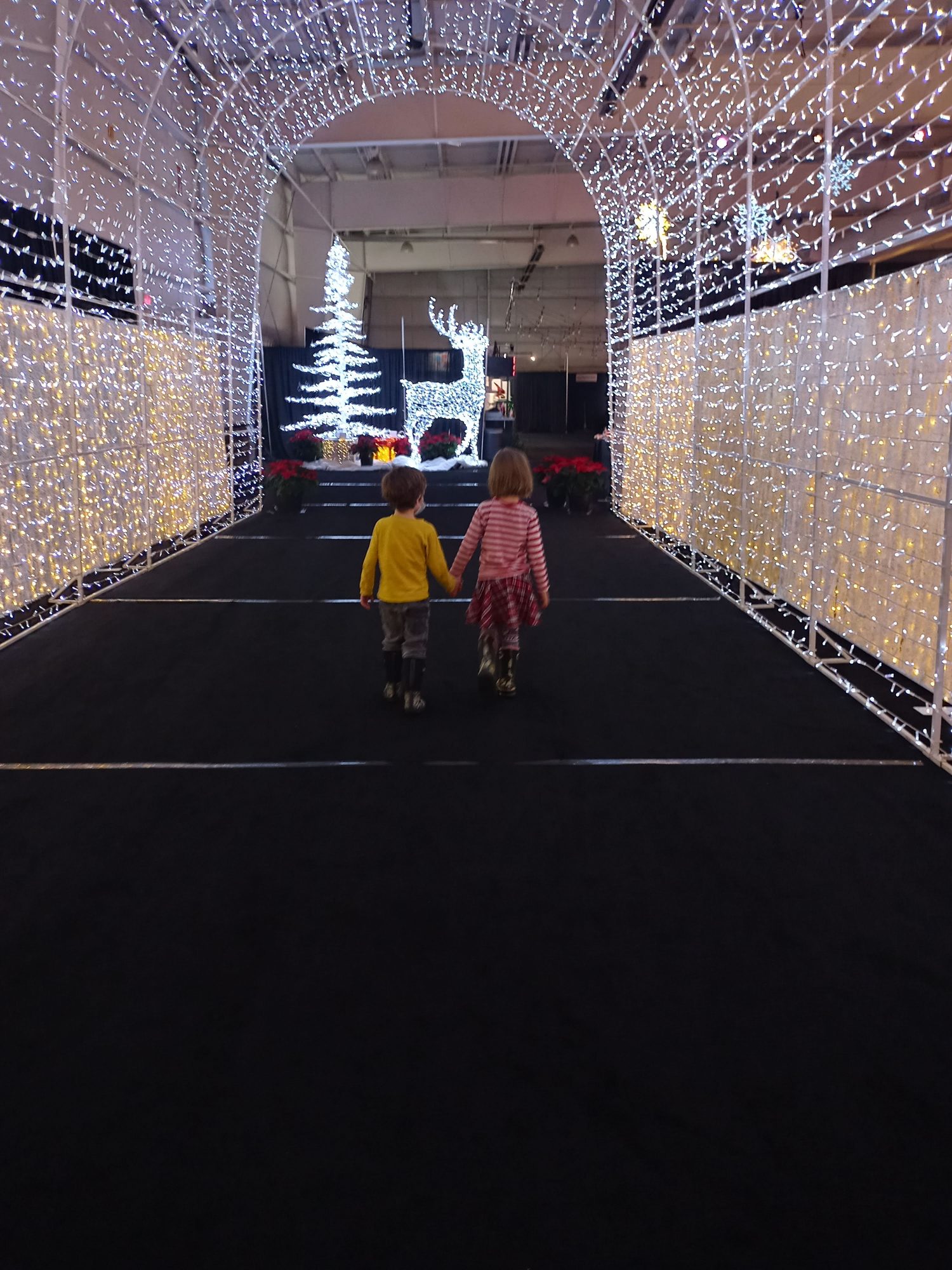 Editor's Picks: 5 BEST Christmas Activities in Saskatoon | Family Fun ...