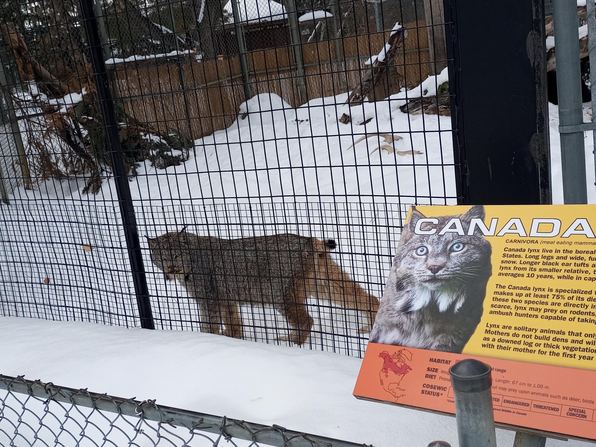 Saskatoon Forestry Farm Park and Zoo - Blowing Snow Won't Stop Us ...