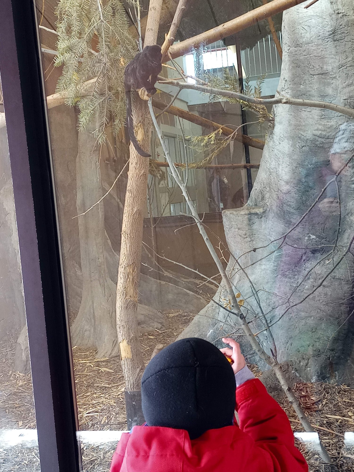 Saskatoon Forestry Farm Park and Zoo - Blowing Snow Won't Stop Us ...