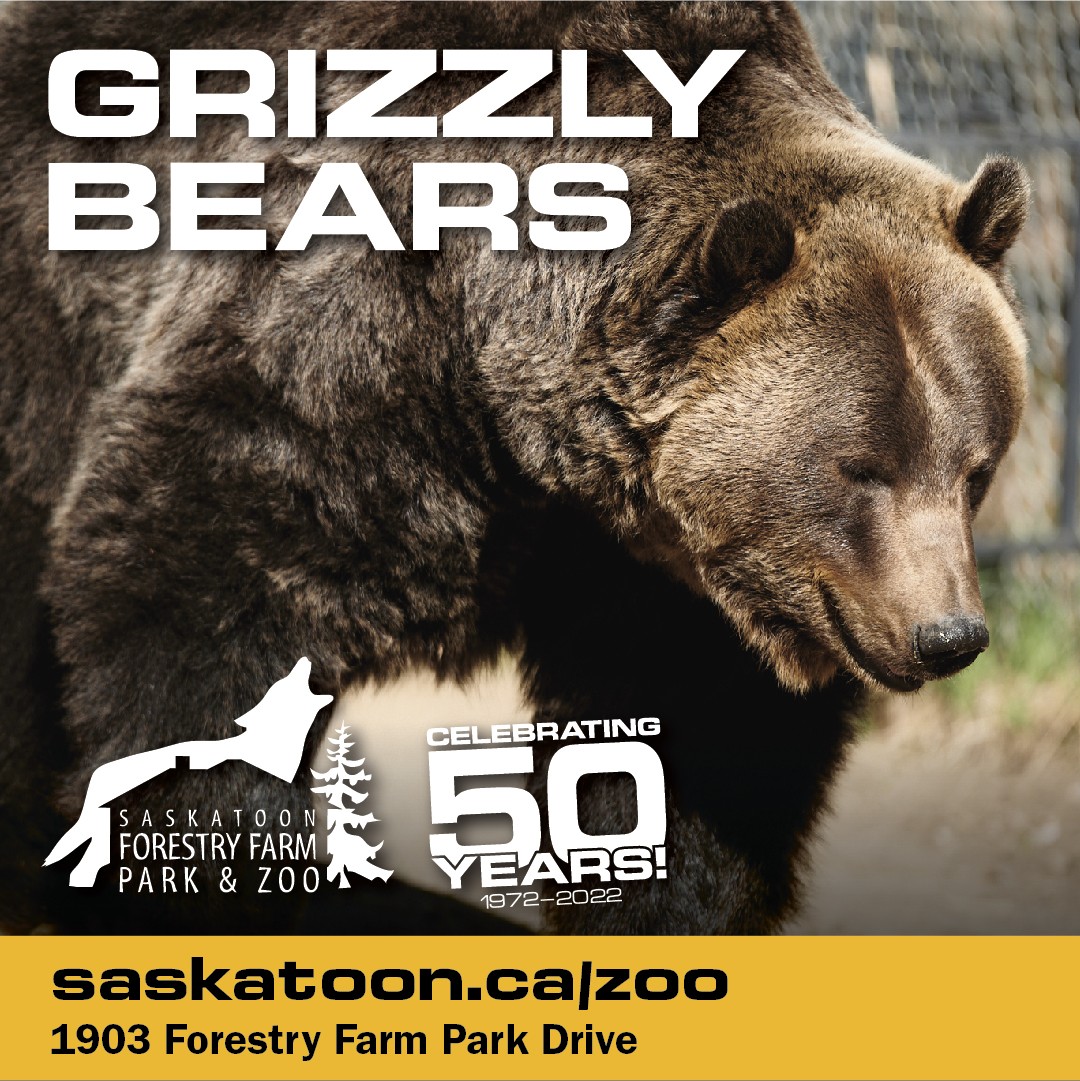 Saskatoon Summer Events | Family Fun Saskatoon