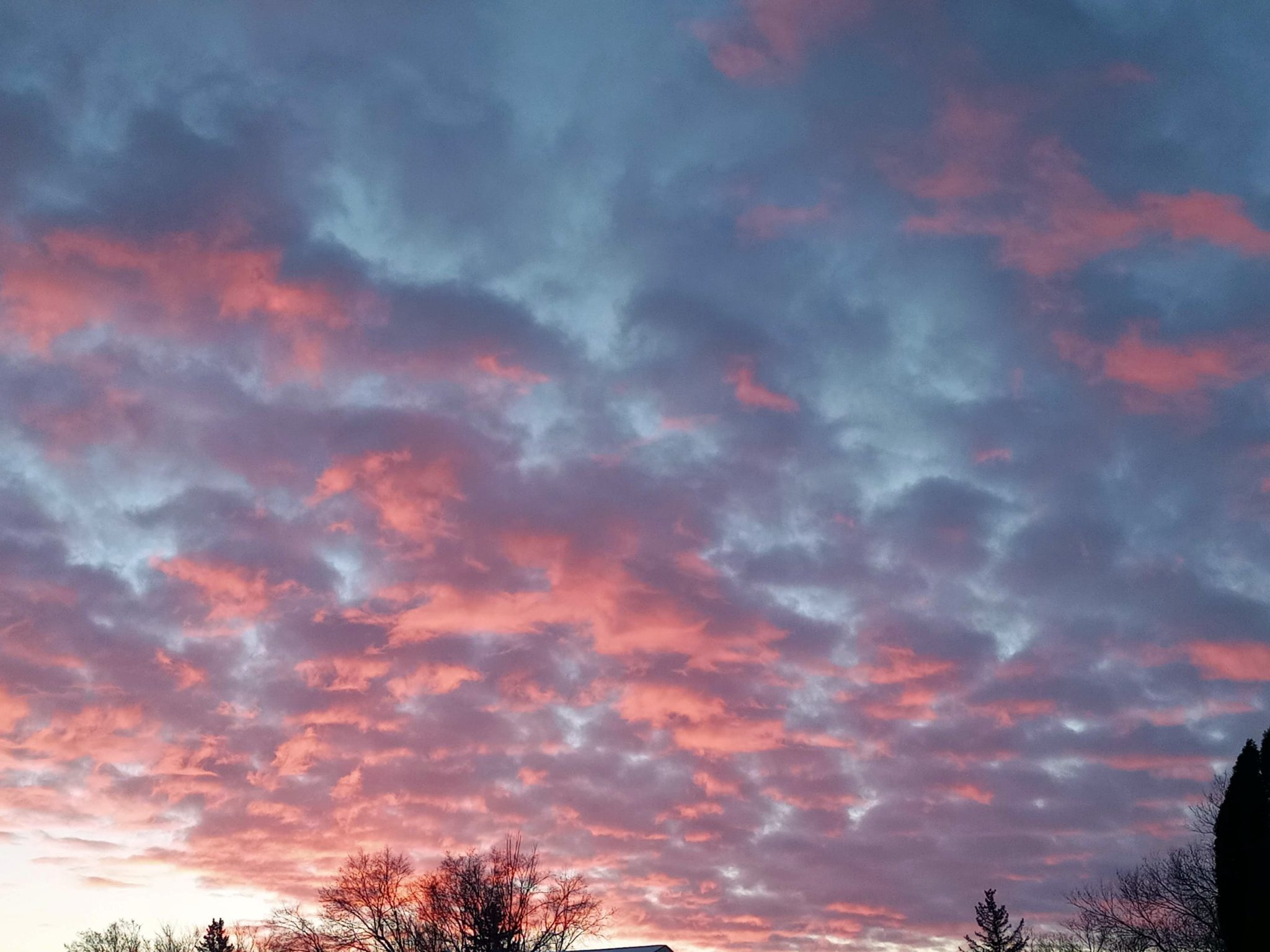 Saskatchewan Day - What to do and What We Love! | Family Fun Saskatoon