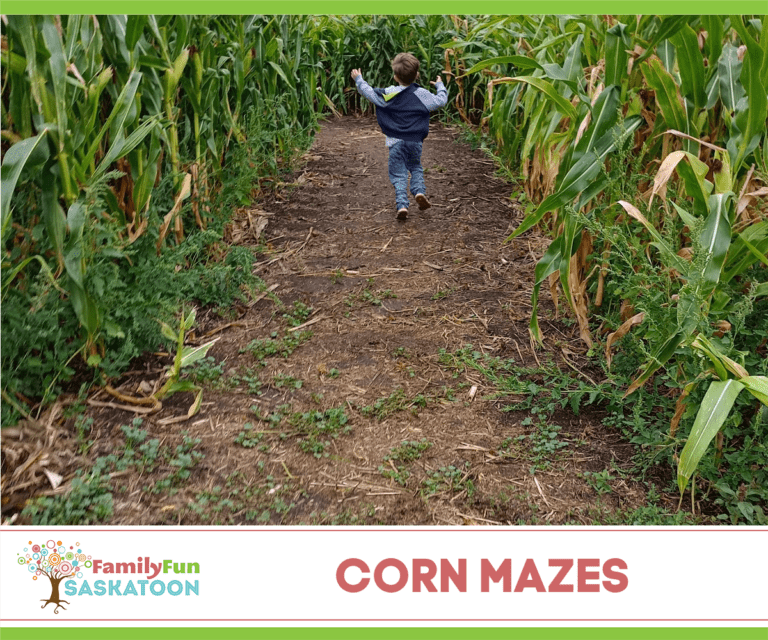 Saskatchewan Corn Mazes You Won't Want to Miss! | Family Fun Saskatoon