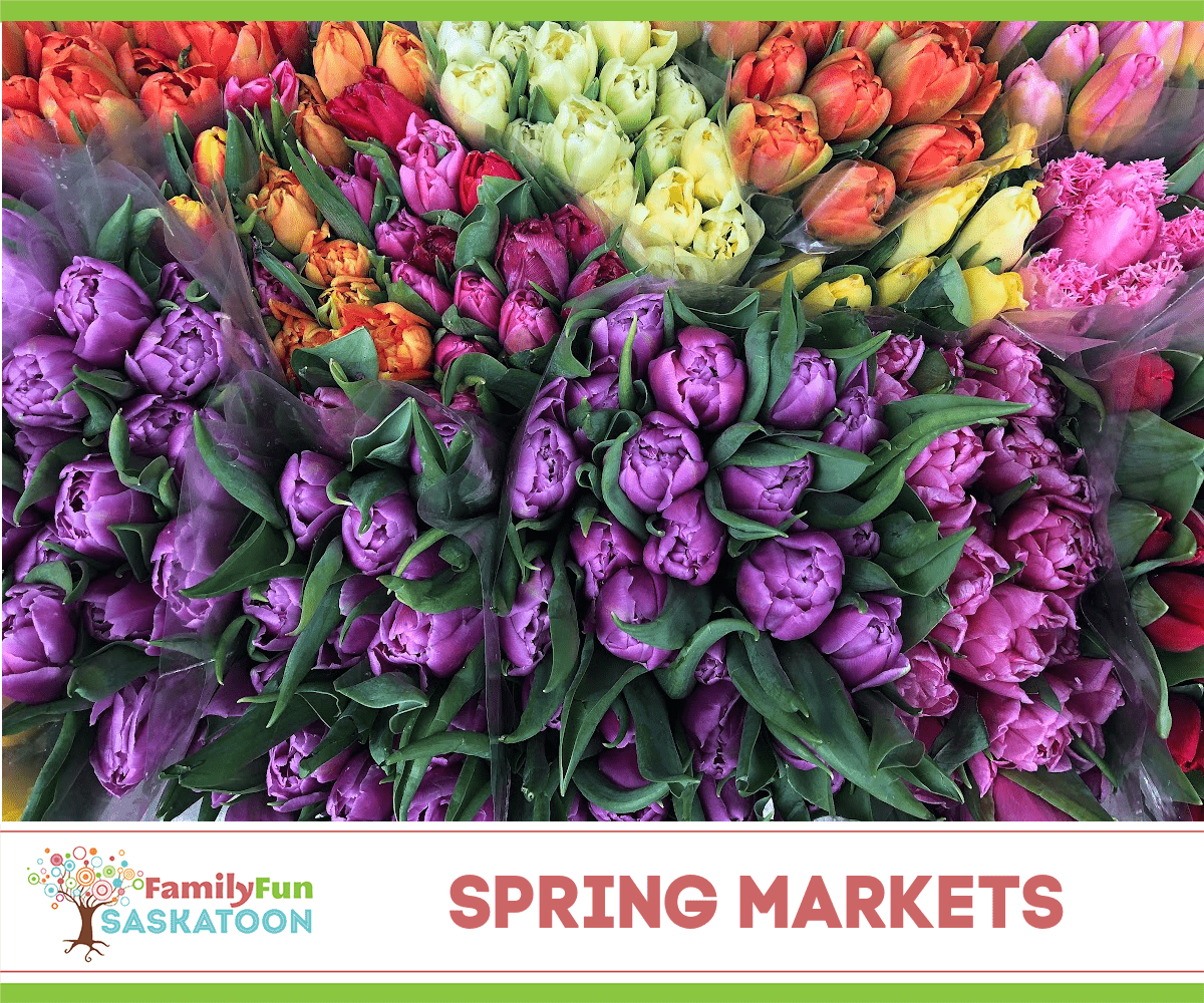 Craft Fairs in Saskatoon| Family Fun Saskatoon