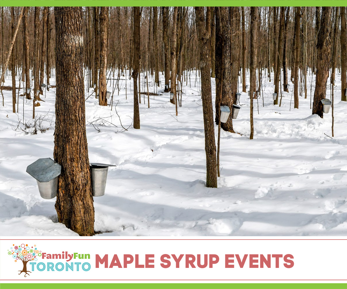 Guide to Maple Syrup Events and Festivals in the GTA and Southern ...
