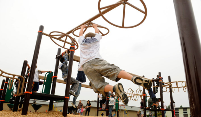WOW! Habitat Systems Inc Playgrounds | Family Fun Vancouver