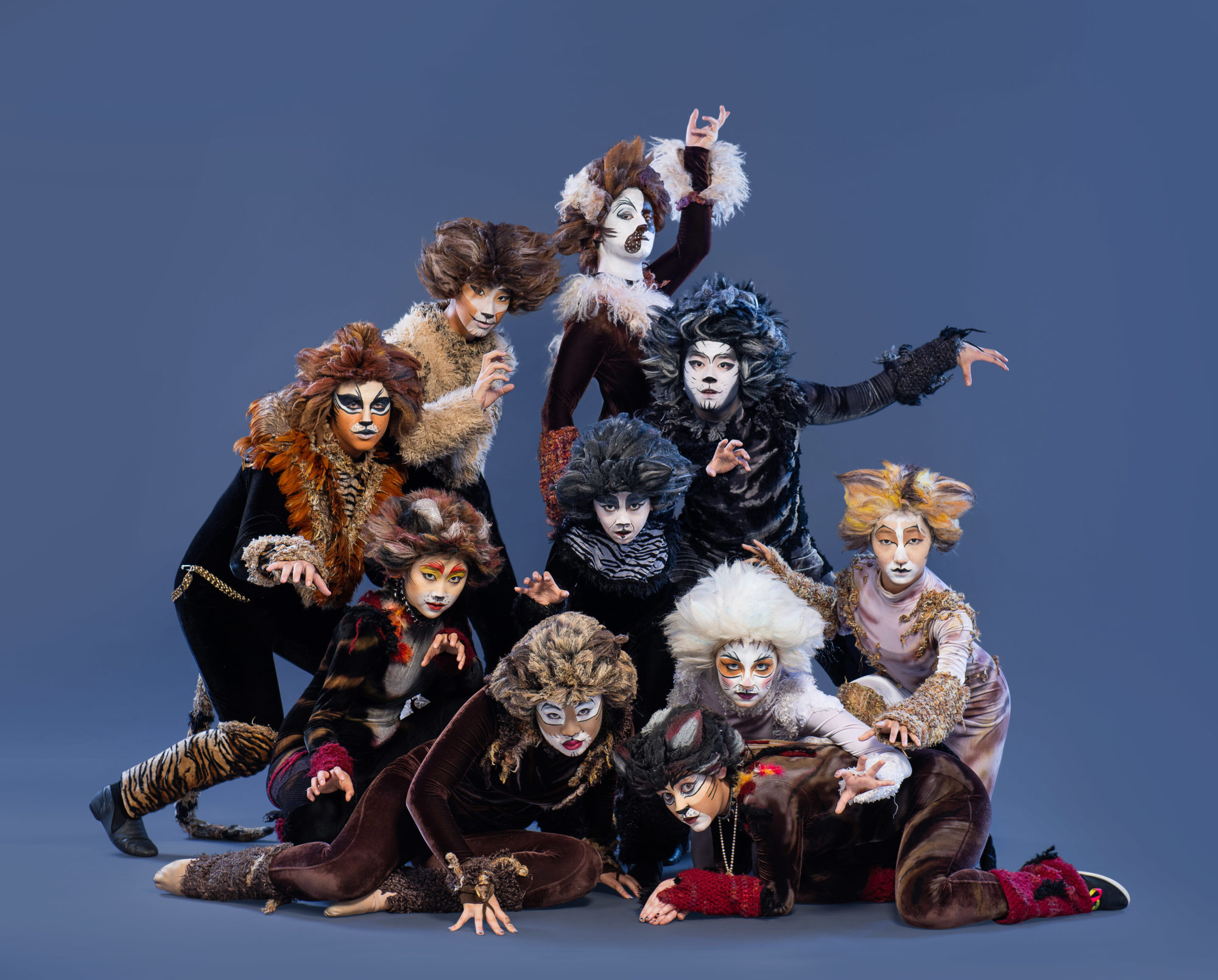 CATS: Young Actors Edition | Family Fun Vancouver