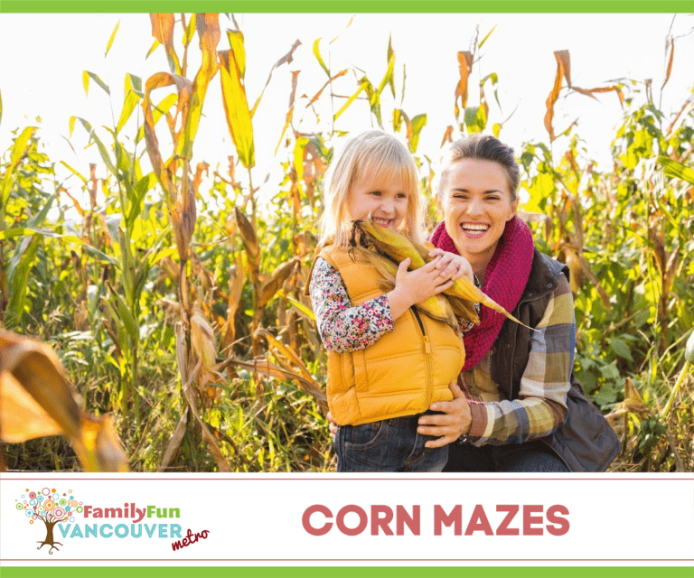 The Best Metro Vancouver Corn Mazes | Family Fun Vancouver