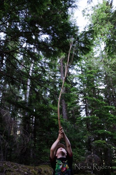 Blueberry Springs Cottage in Albas Provincial Park, Shuswap, BC ...