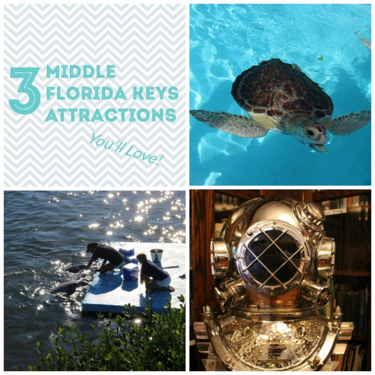 Meet me in the Middle - 3 Middle Florida Keys Attractions You'll Love ...