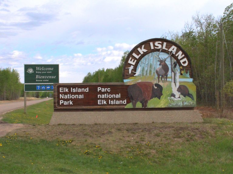 Explore Elk Island National Park in Alberta | Family Fun Canada