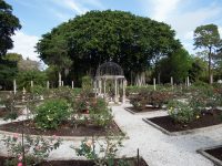 Be Part of the Act at The Ringling in Sarasota, Florida!