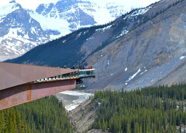 Jasper National Park From End to End: Experience the Best of the Park