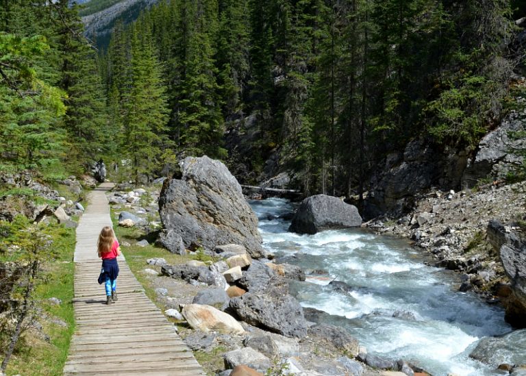 Jasper National Park From End to End: Experience the Best of the Park