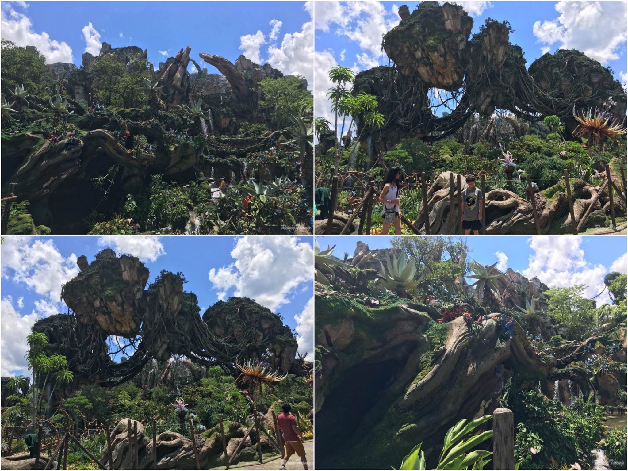 Pandora The World of Avatar Now Open at Disney’s Animal Kingdom Park