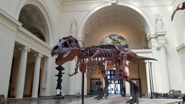 1 Day, 3 Ways in Chicago! How to Spend the Day 3 Great Ways - Family ...